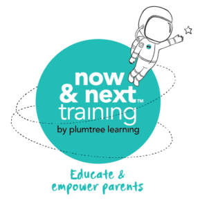 Now & Next NDIS | Plumtree